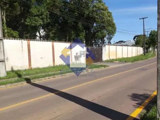 Terreno / Lote para Venda em São José dos Pinhais/PR Itália