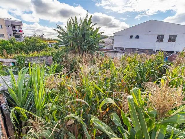 Terreno / Lote para Venda em São José dos Pinhais/PR Ipê