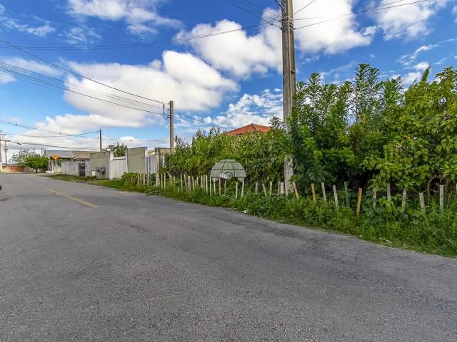 Terreno / Lote para Venda em São José dos Pinhais/PR Ipê