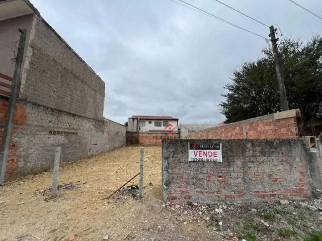 Terreno / Lote para Venda em São José dos Pinhais/PR Ipê