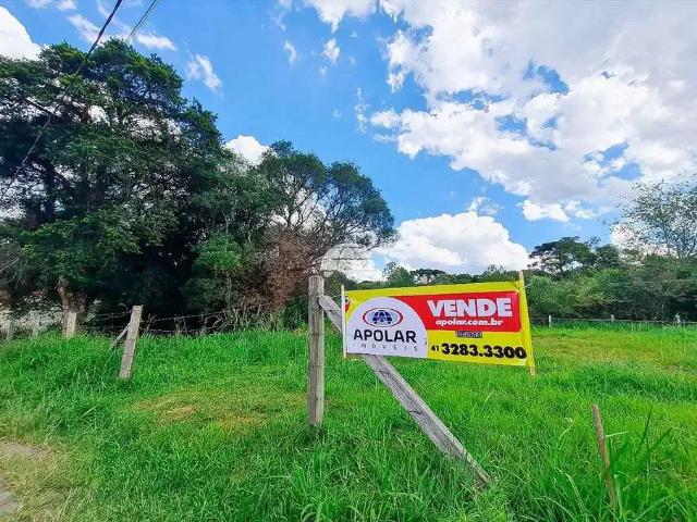 Terreno / Lote para Venda em São José dos Pinhais/PR Jurema