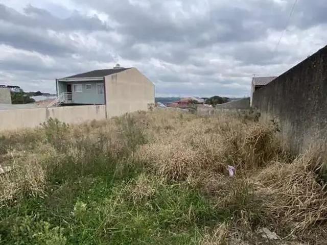Terreno / Lote para Venda em São José dos Pinhais/PR Jardim Carmem