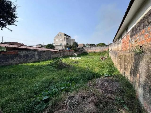 Terreno / Lote para Venda em São José dos Pinhais/PR Jardim Carmem