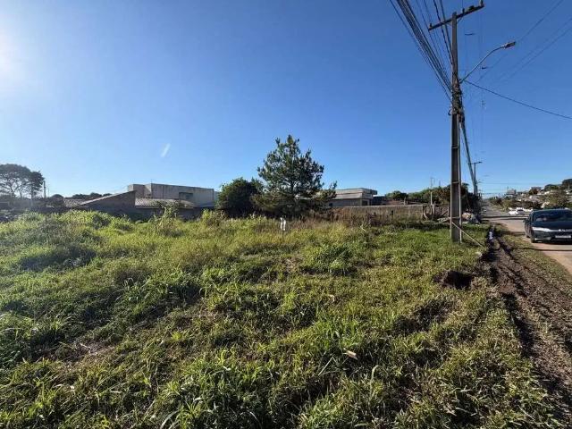 Terreno / Lote para Venda em São José dos Pinhais/PR Jardim Carmem