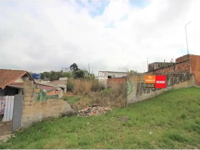 Terreno / Lote para Venda em São José dos Pinhais/PR Jardim Carmem