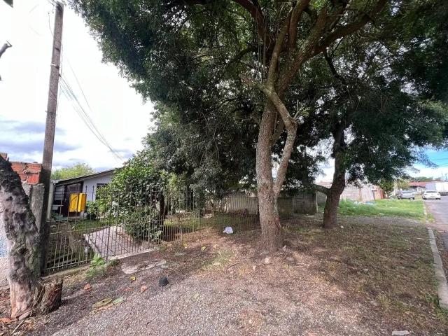 Terreno / Lote para Venda em São José dos Pinhais/PR Jardim Cristal