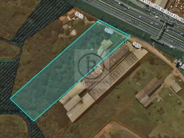 Terreno / Lote para Venda em São José dos Pinhais/PR Parque da Fonte 4 Quartos