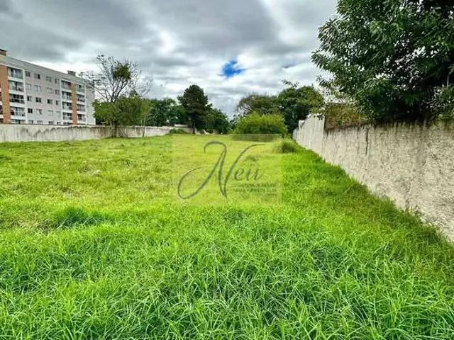 Terreno / Lote para Venda em São José dos Pinhais/PR Parque da Fonte