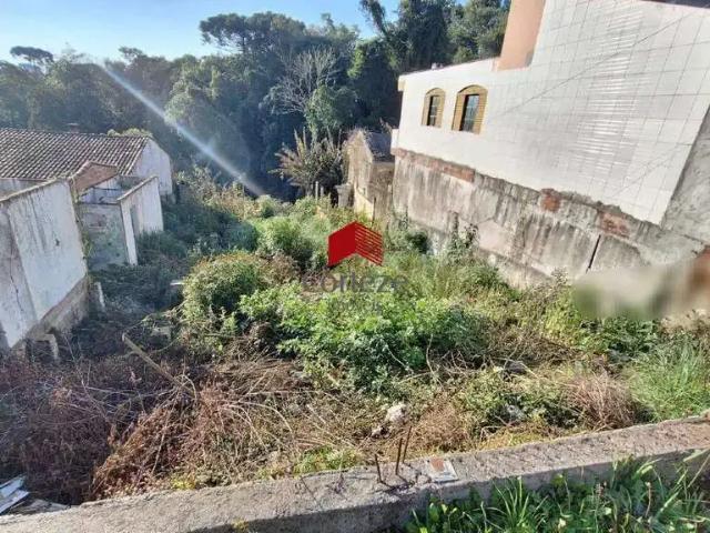 Terreno / Lote para Venda em São José dos Pinhais/PR Pedro Moro
