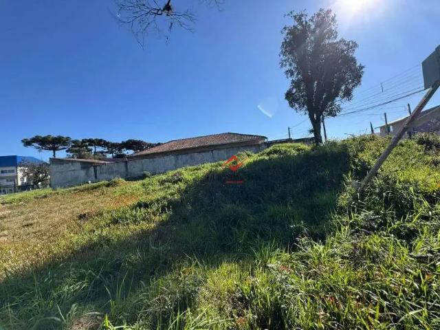 Terreno / Lote para Venda em São José dos Pinhais/PR Quississana