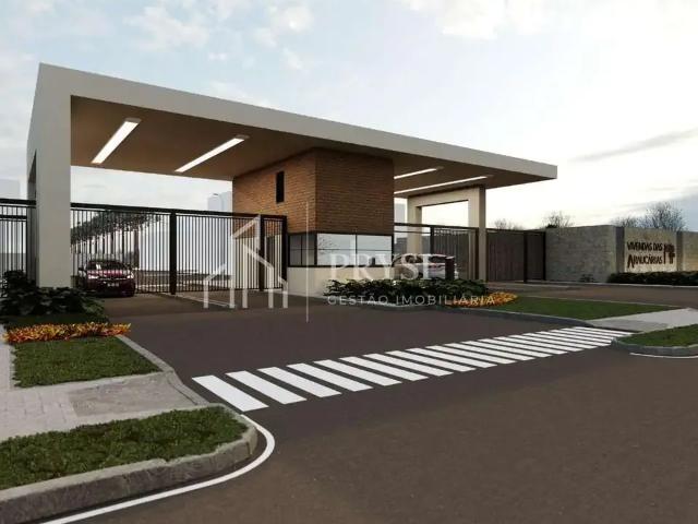 Terreno / Lote para Venda em São José dos Pinhais/PR Rio Pequeno