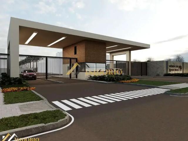 Terreno / Lote para Venda em São José dos Pinhais/PR Rio Pequeno