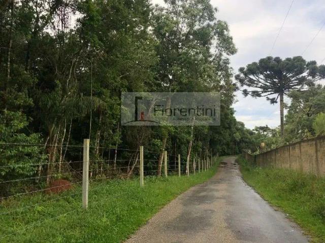 Terreno / Lote para Venda em São José dos Pinhais/PR Roseira