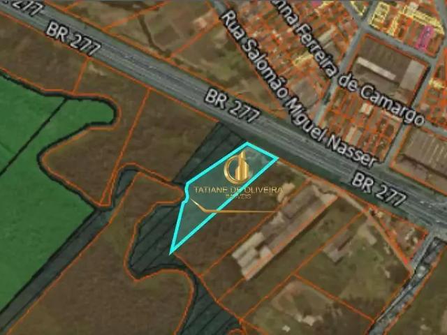 Terreno / Lote para Venda em São José dos Pinhais/PR Roseira