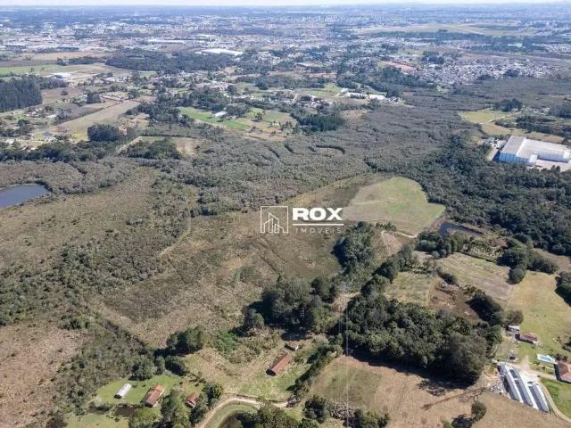 Terreno / Lote para Venda em São José dos Pinhais/PR Roseira