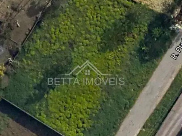 Terreno / Lote para Venda em São José dos Pinhais/PR Roseira de São Sebastião