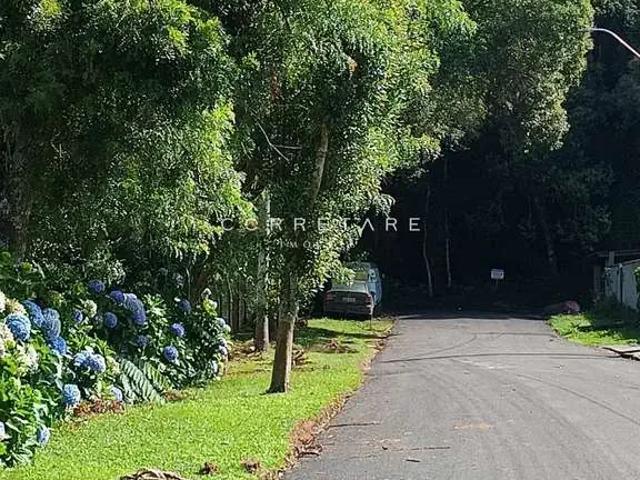 Terreno / Lote para Venda em São José dos Pinhais/PR Roseira de São Sebastião