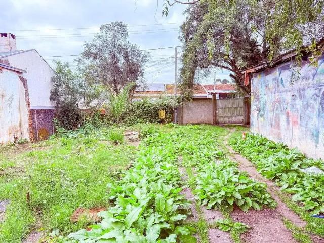 Terreno / Lote para Venda em São José dos Pinhais/PR Roseira de São Sebastião