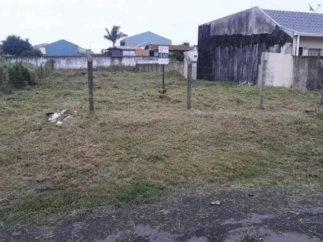 Terreno / Lote para Venda em São José dos Pinhais/PR Roseira de São Sebastião
