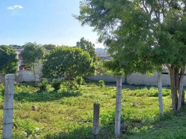 Terreno / Lote para Venda em São José dos Pinhais/PR Roseira de São Sebastião