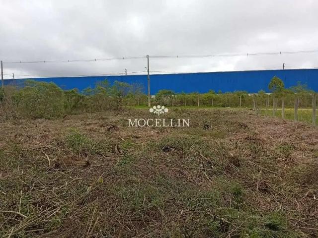 Terreno / Lote para Venda em São José dos Pinhais/PR Roseira de São Sebastião