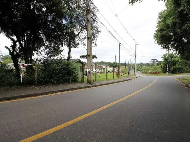 Terreno / Lote para Venda em São José dos Pinhais/PR Roseira de São Sebastião