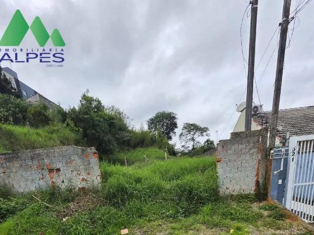 Terreno / Lote para Venda em São José dos Pinhais/PR São Domingos