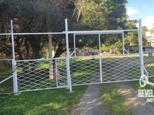 Terreno / Lote para Venda em São José dos Pinhais/PR São Domingos