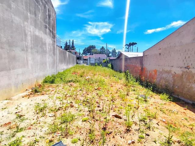 Terreno / Lote para Venda em São José dos Pinhais/PR São Marcos