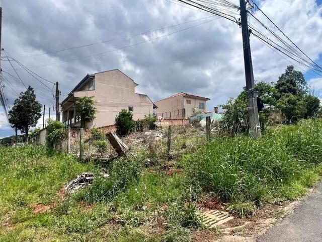 Terreno / Lote para Venda em São José dos Pinhais/PR São Marcos