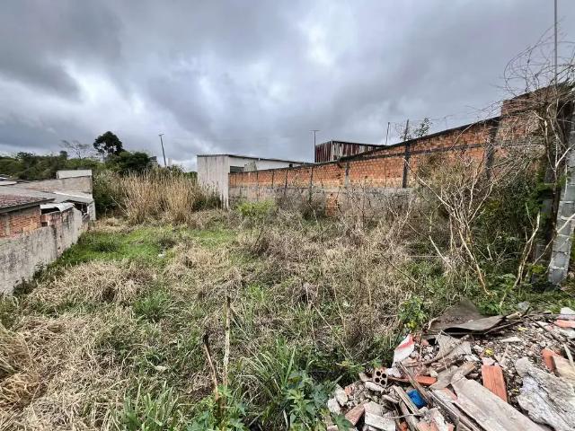 Terreno / Lote para Venda em São José dos Pinhais/PR São Marcos