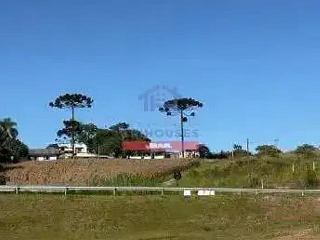 Terreno / Lote para Venda em São José dos Pinhais/PR São Marcos