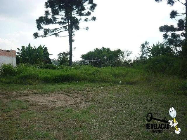 Terreno / Lote para Venda em São José dos Pinhais/PR São Sebastião
