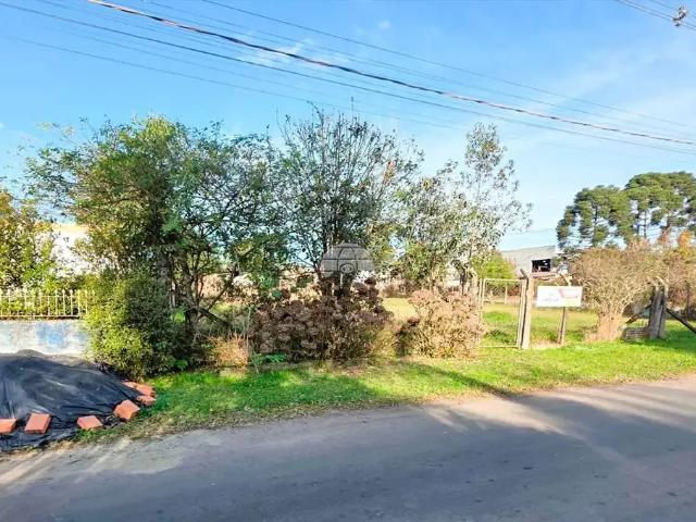 Terreno / Lote para Venda em São José dos Pinhais/PR São Sebastião