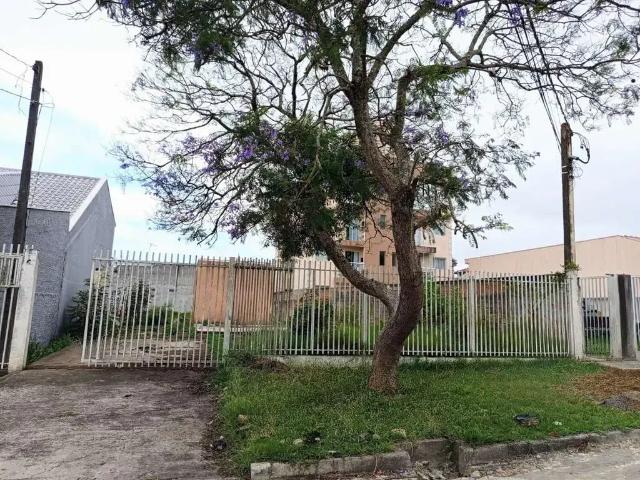 Terreno / Lote para Venda em São José dos Pinhais/PR Santo Antônio