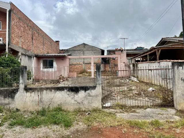 Terreno / Lote para Venda em São José dos Pinhais/PR Santo Antônio