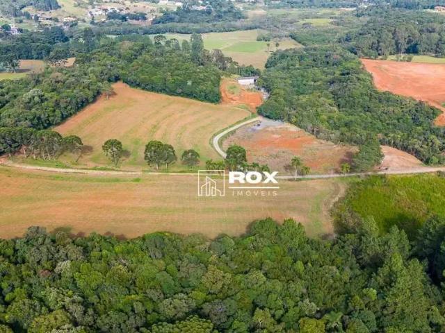 Terreno / Lote para Venda em São José dos Pinhais/PR Zacarias