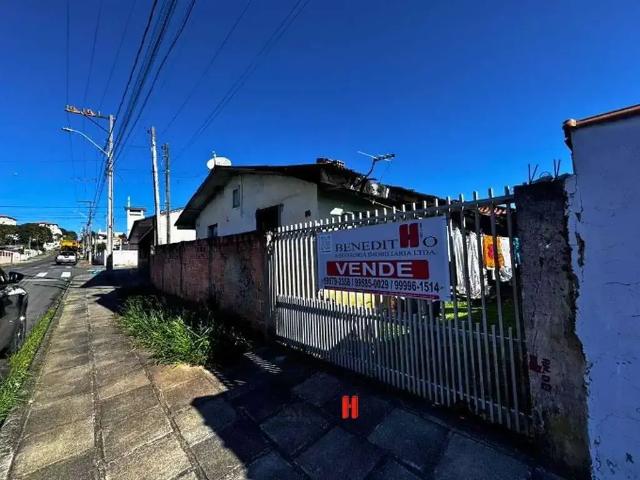 Terreno / Lote para Venda em São José dos Pinhais/PR Zaniolo
