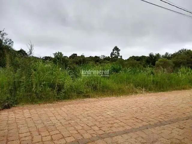 Terreno / Lote para Venda em São José dos Pinhais/PR Zona Rural
