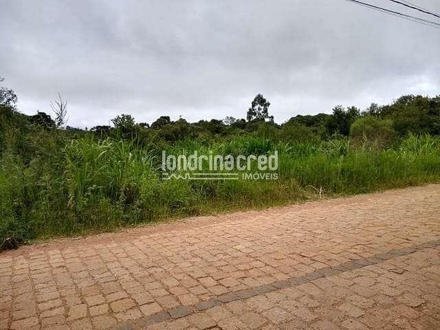 Terreno / Lote para Venda em São José dos Pinhais/PR Zona Rural