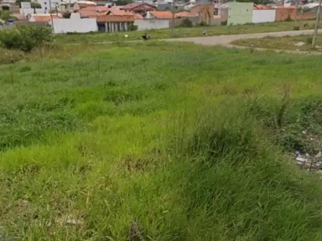 Terreno / Lote para Venda em São José/SC Areias
