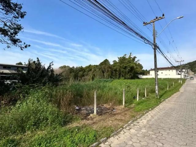 Terreno / Lote para Venda em São José/SC Areias