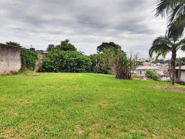 Terreno / Lote para Venda em São José/SC Areias