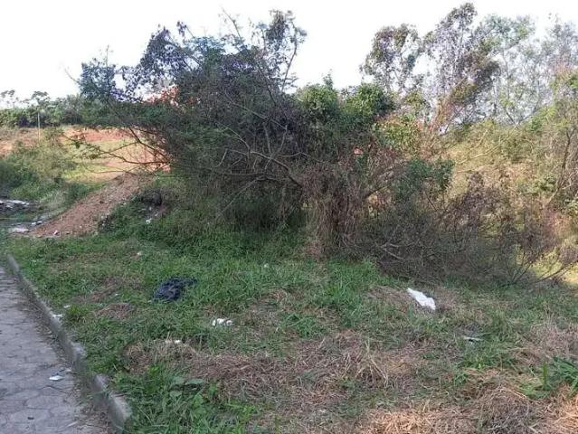 Terreno / Lote para Venda em São José/SC Areias