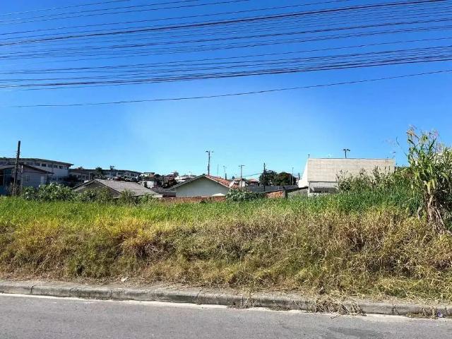 Terreno / Lote para Venda em São José/SC Barreiros