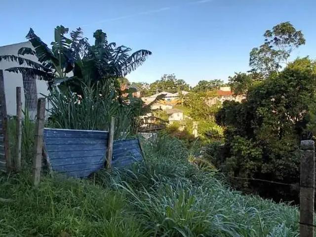 Terreno / Lote para Venda em São José/SC Bela Vista