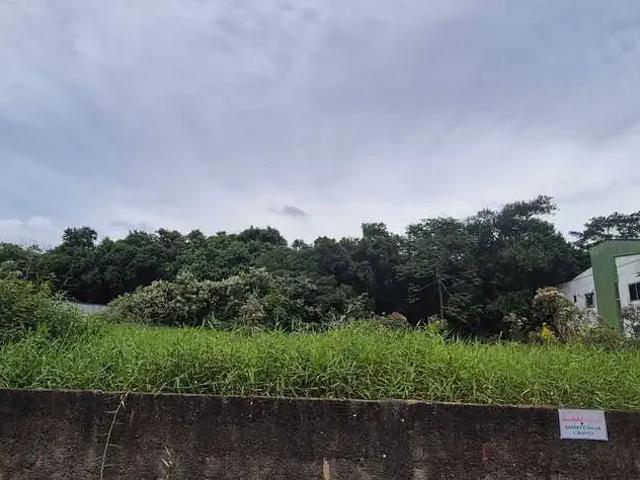Terreno / Lote para Venda em São José/SC Ceniro Martins