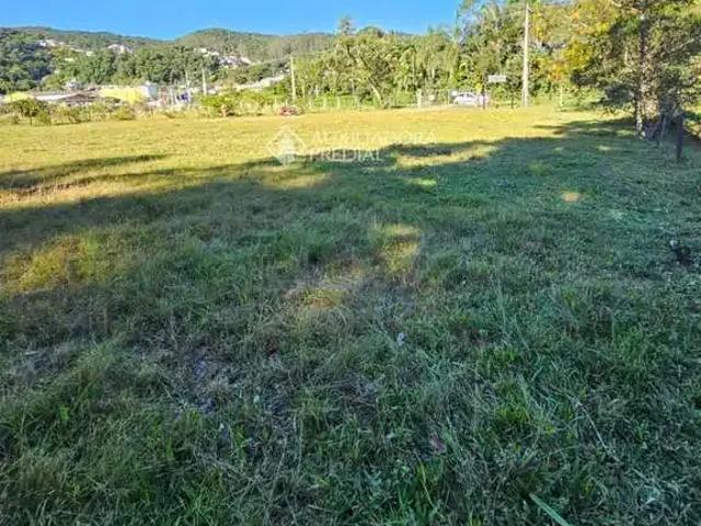 Terreno / Lote para Venda em São José/SC Colônia Santana