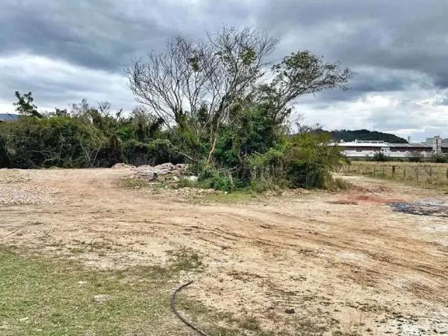 Terreno / Lote para Venda em São José/SC Fazenda Santo Antônio
