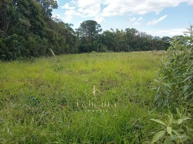 Terreno / Lote para Venda em São José/SC Forquilhas
